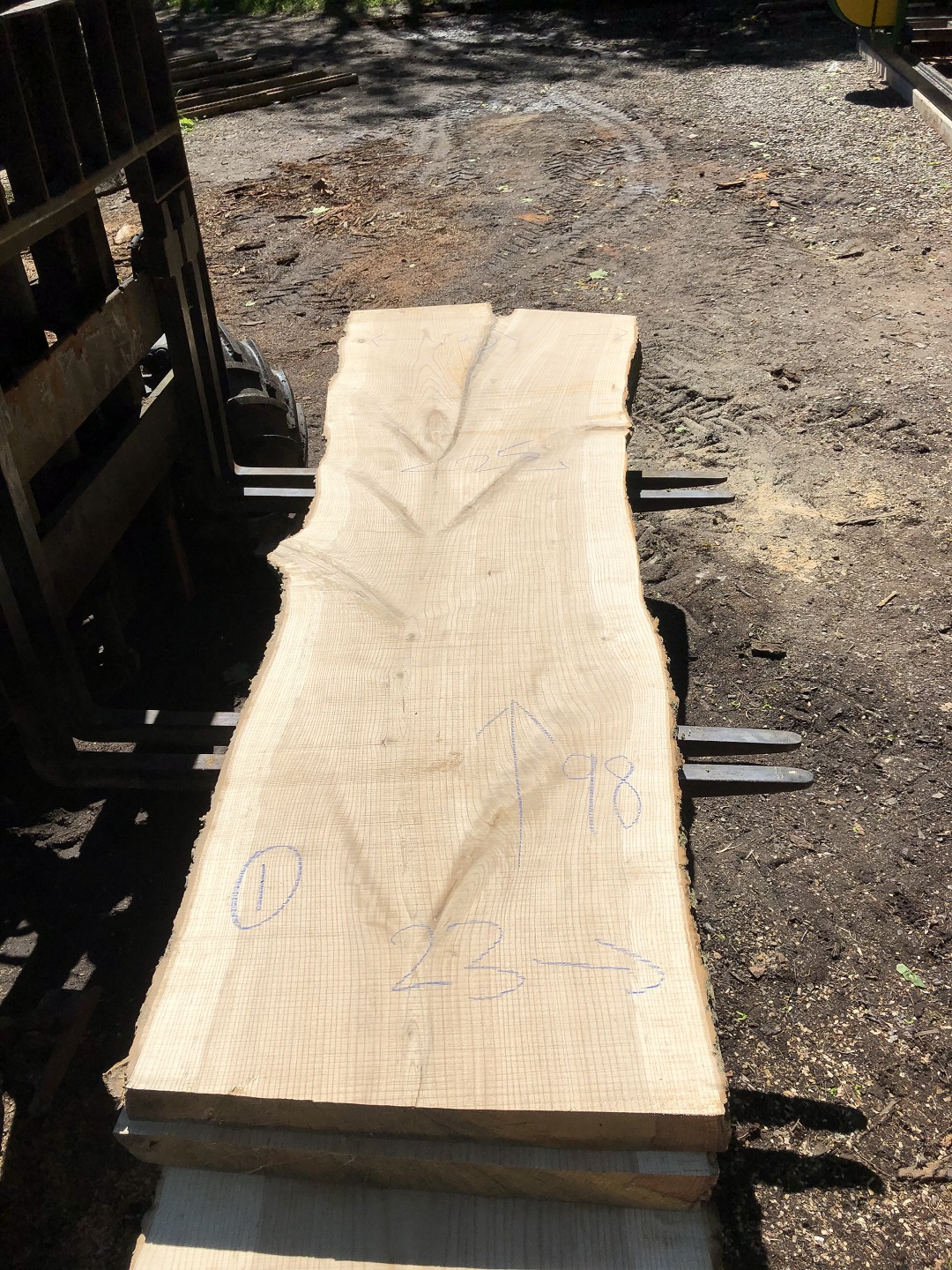Shop Live Edge White Ash Wood Slabs - Wood Slabs Toronto