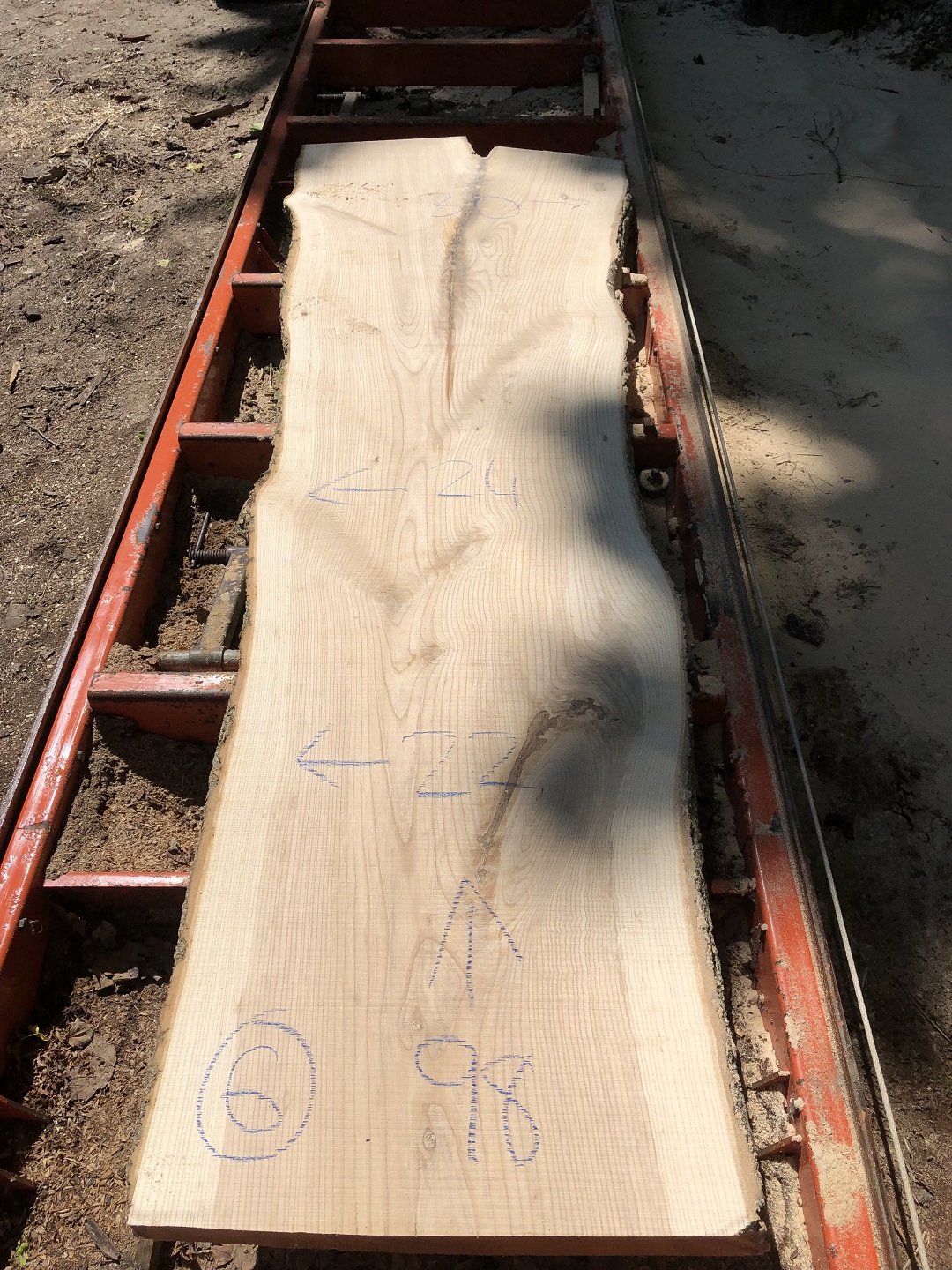 Shop Live Edge White Ash Wood Slabs - Wood Slabs Toronto