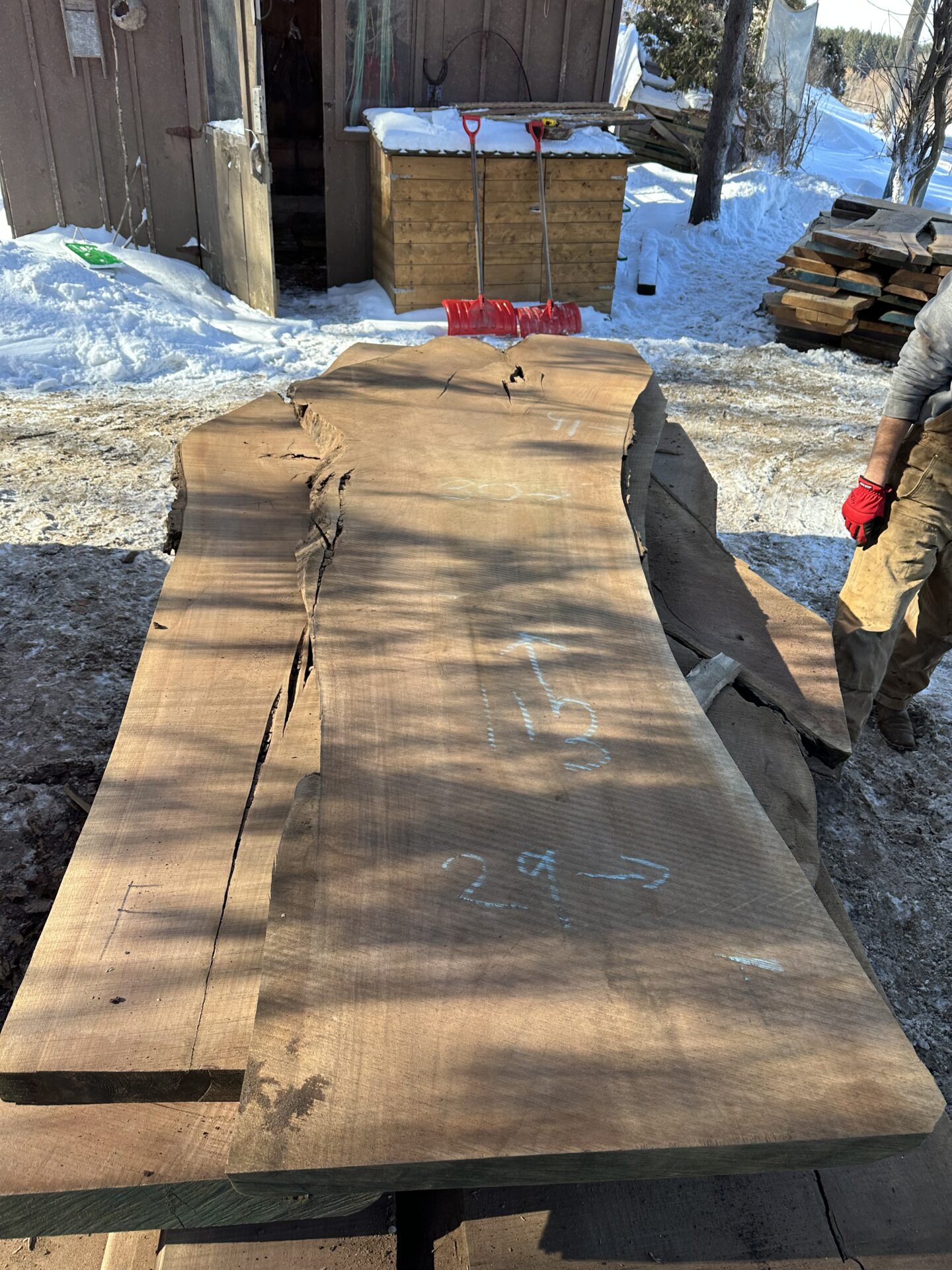 Shop Extra Wide Live Edge Black Walnut Wood Slabs - Toronto