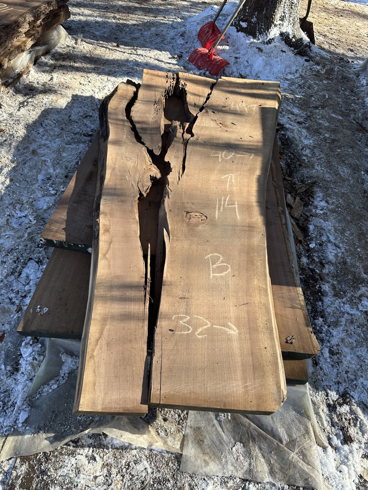 Shop Extra Wide Live Edge Black Walnut Wood Slabs - Toronto