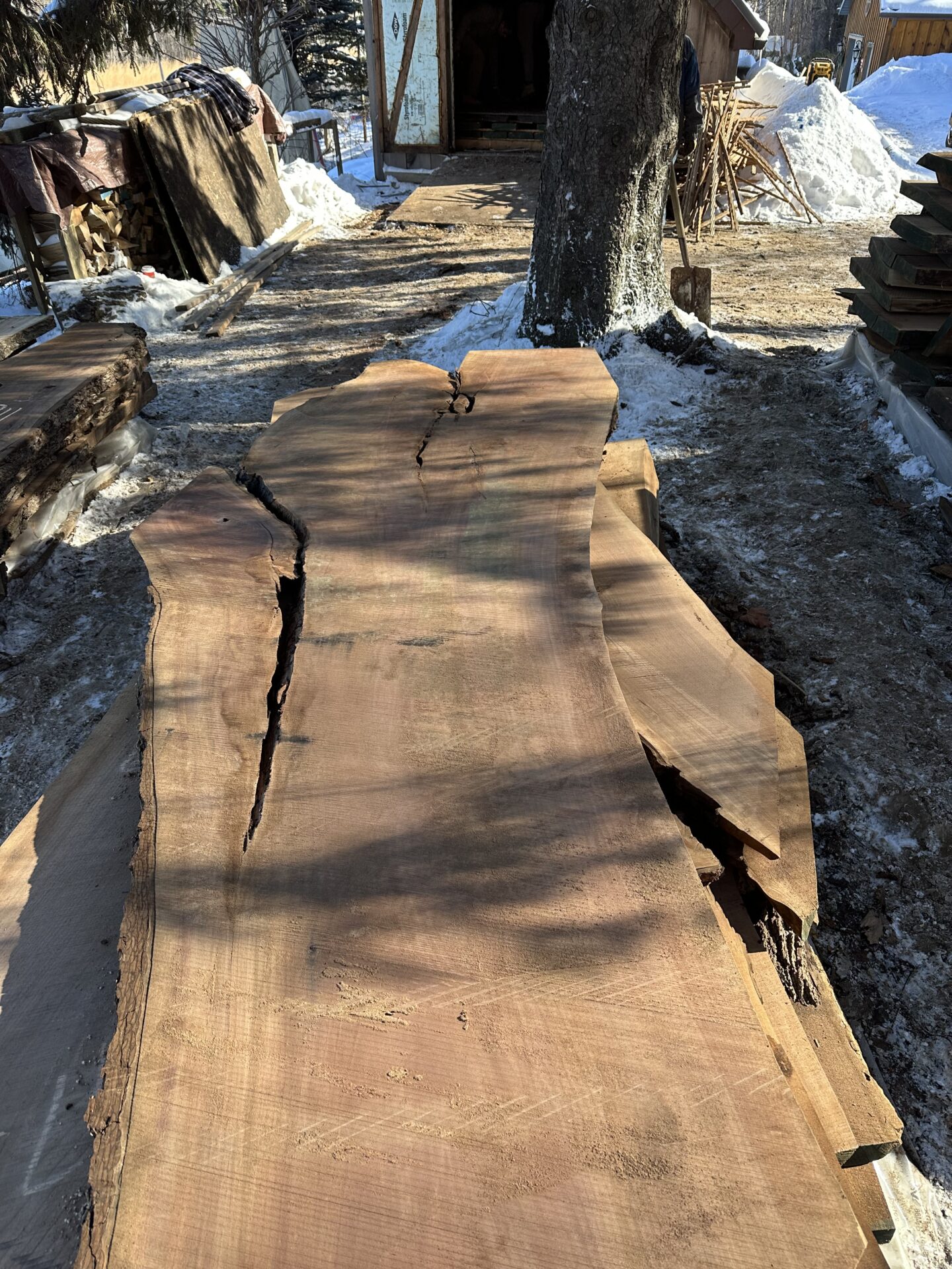 Shop Extra Wide Live Edge Black Walnut Wood Slabs - Toronto