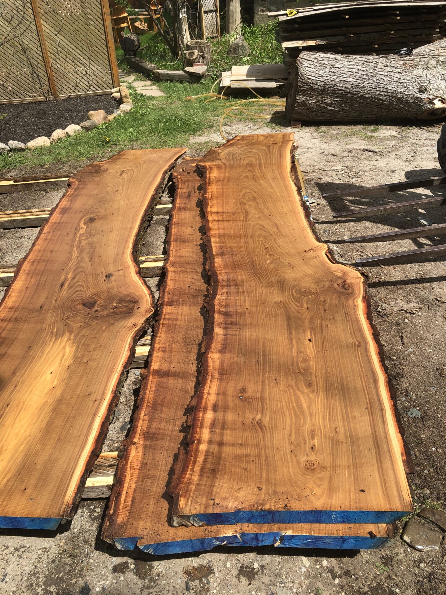 Live Edge Wood | Red Elm