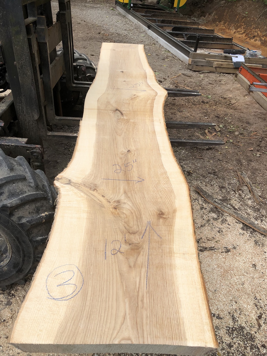 Live Edge White Ash Slab - S1009 - Wood Slabs
