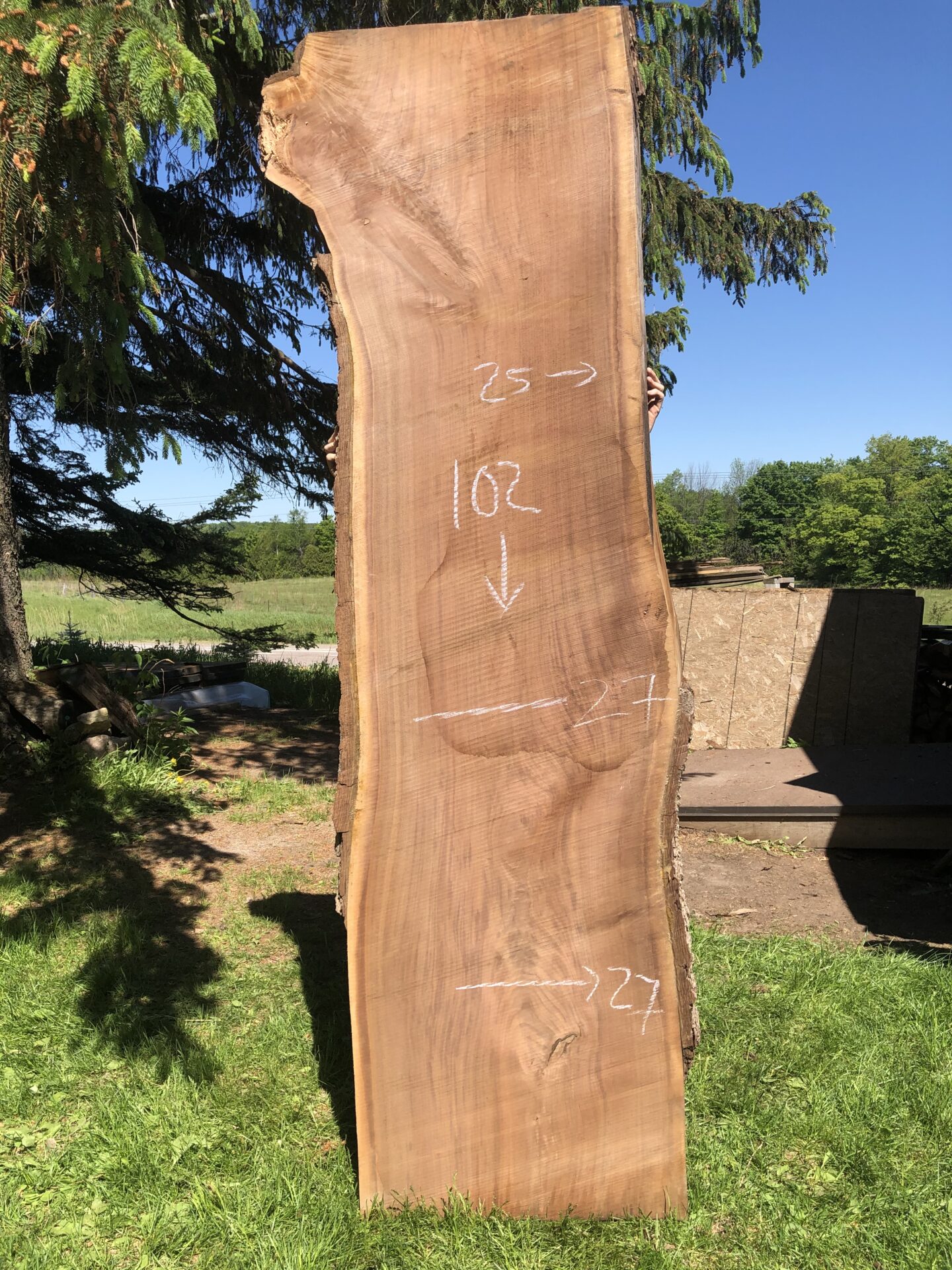 Live Edge Black Walnut Wood Slab - S1010 | Walnut Lumber