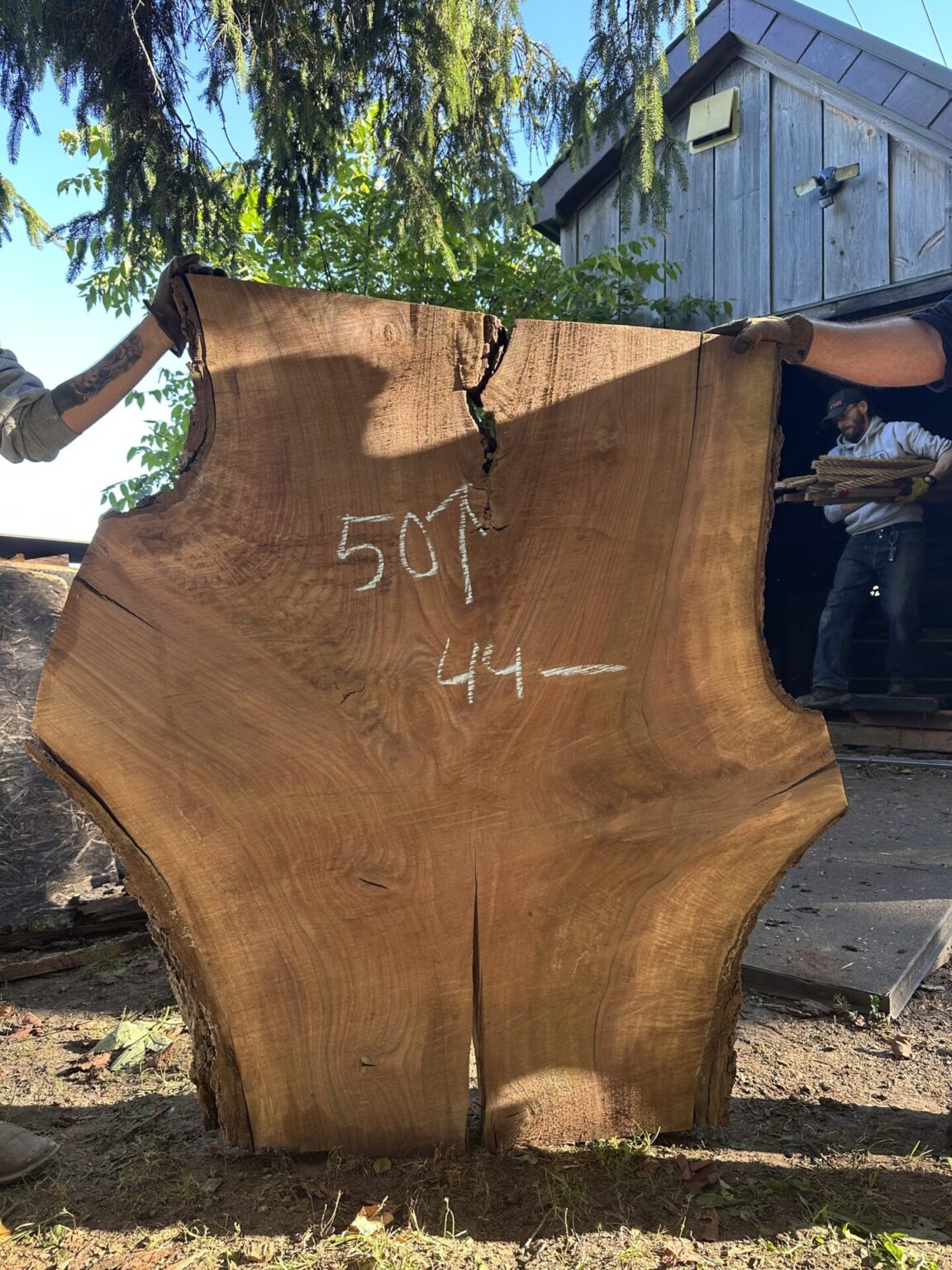 Live Edge Black Walnut for Epoxy Round Table | Wood Slabs